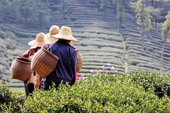 Hangzhou Private Day Tour from Nanjing by Bullet Train with Drop-off Option - Key Points