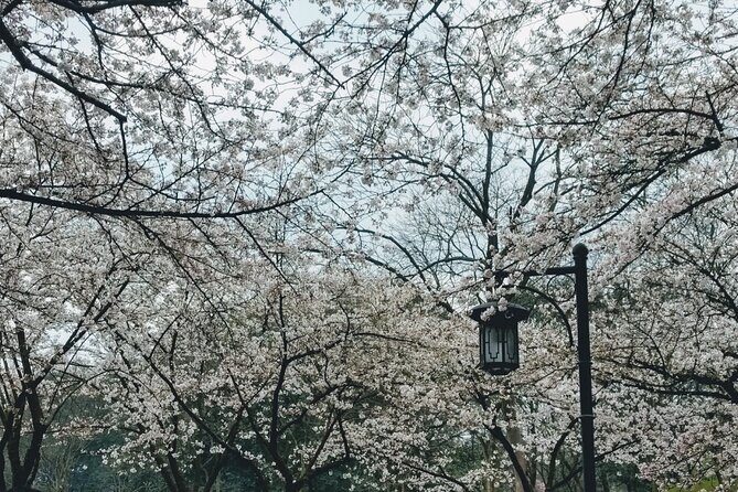 Hangzhou Private Day Tour with West Lake - Exploring West Lake: A Scenic Highlight