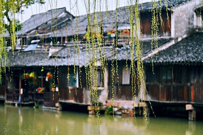 Hangzhou Private Day Tour: Wuzhen Water Town - Who Should Consider This Tour?