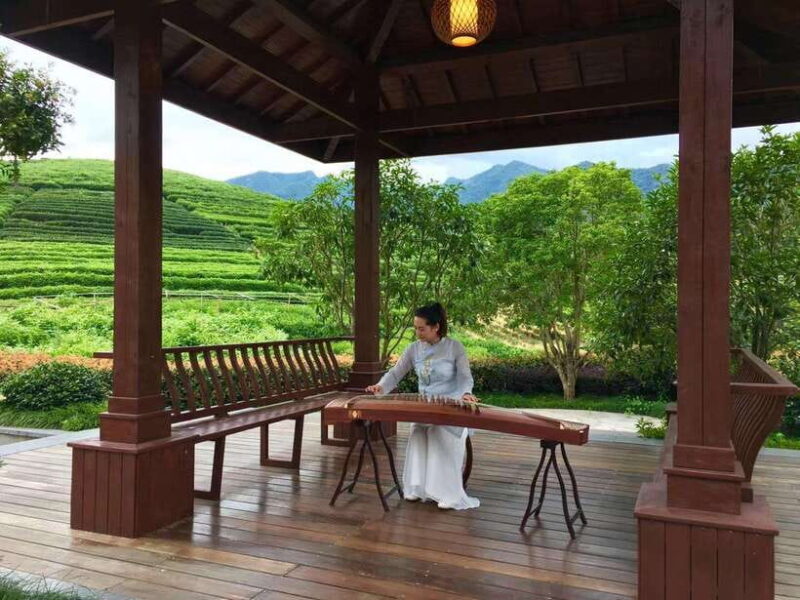 Hangzhou Private Day Trip by Bullet Train from Shanghai - The Allure of High-Speed Travel