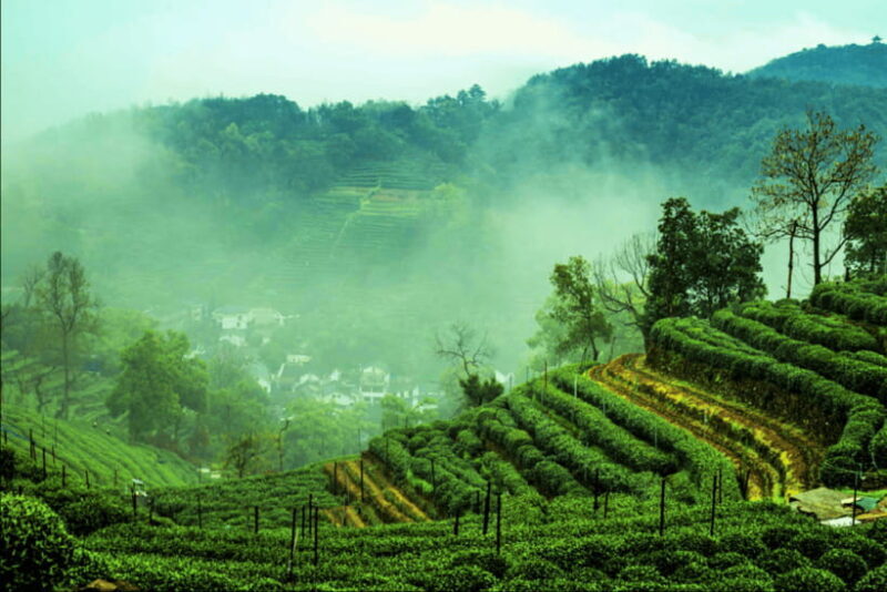 Hangzhou Private Day Trip by Bullet Train from Shanghai - Lunch and Local Cuisine