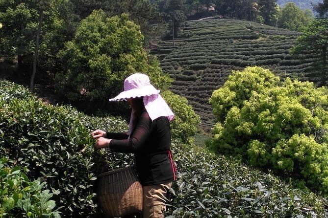 Hangzhou Private Day Trip from Suzhou by Bullet Train with Drop-off Options - Key Points