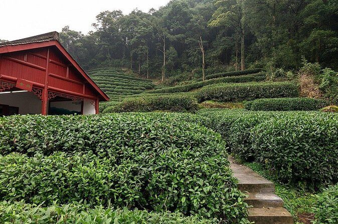 Hangzhou Private Departure Transfer: Hotel to Railway Station - FAQ