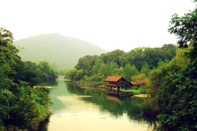 Hangzhou Private Transfer to Shanghai with stop-over at Wuzhen Water Town - What Travelers Say