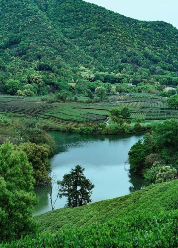 Hangzhou Tea Tour: Villages, Lakes & Whisked Tea Experience - Key Points