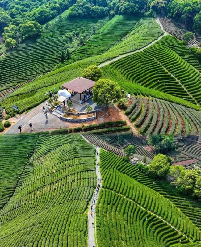 Hangzhou Tea Tour: Villages, Lakes & Whisked Tea Experience - Lakeside Serenity at Guangming Temple Reservoir