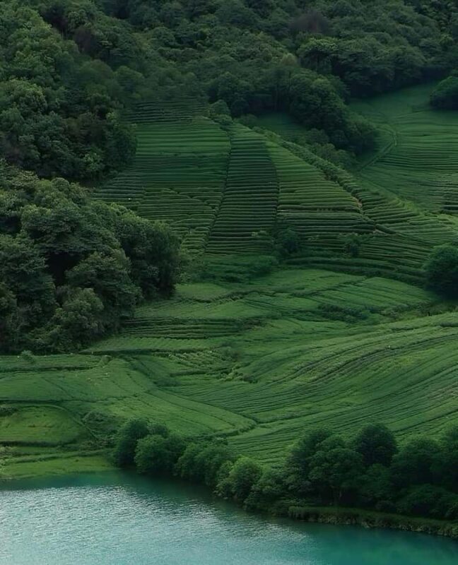 Hangzhou Tea Tour: Villages, Lakes & Whisked Tea Experience - Exploring Hejia Village and Local Life