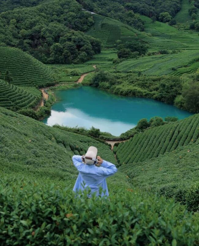 Hangzhou Tea Tour: Villages, Lakes & Whisked Tea Experience - Practical Details & Value