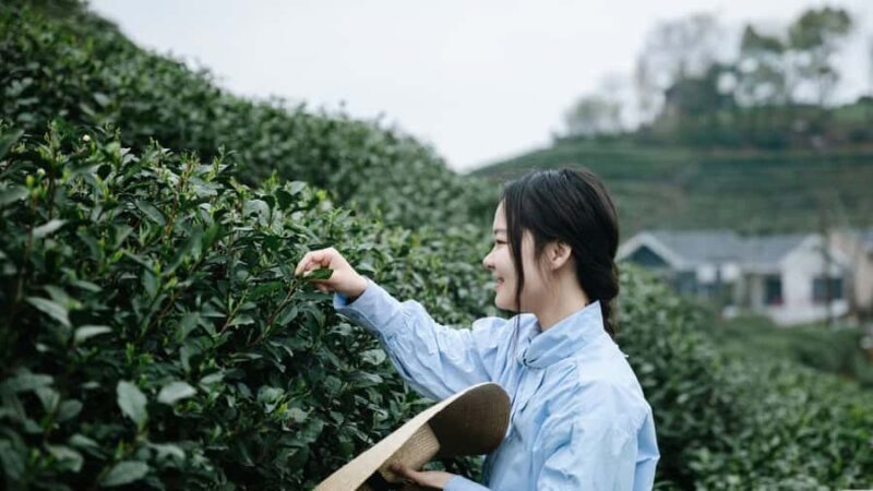 Hangzhou: Tea Village Photoshoot in Longjing - Hangzhou: Tea Village Photoshoot in Longjing