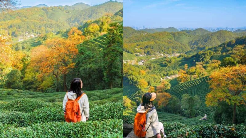 Hangzhou: Tea Village Photoshoot in Longjing - Who Will Enjoy This Tour?