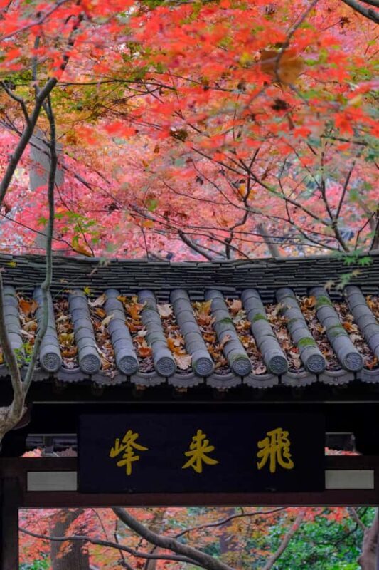Hangzhou Temples Trail: Explore Lingyin, Faxi, and Yongfu - A Practical Guide to the Hangzhou Temples Trail