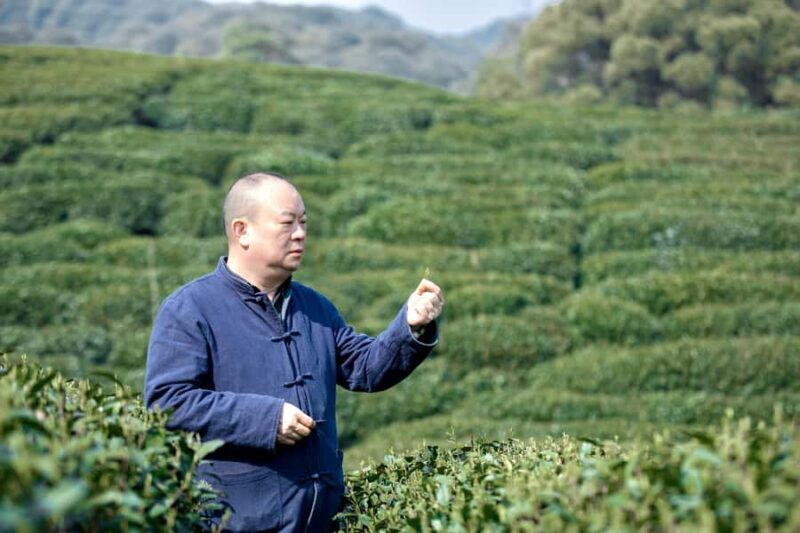 Hangzhou: UNESCO Tea Culture Experience  Hand Fry & Taste - Practical Tips for Your Visit