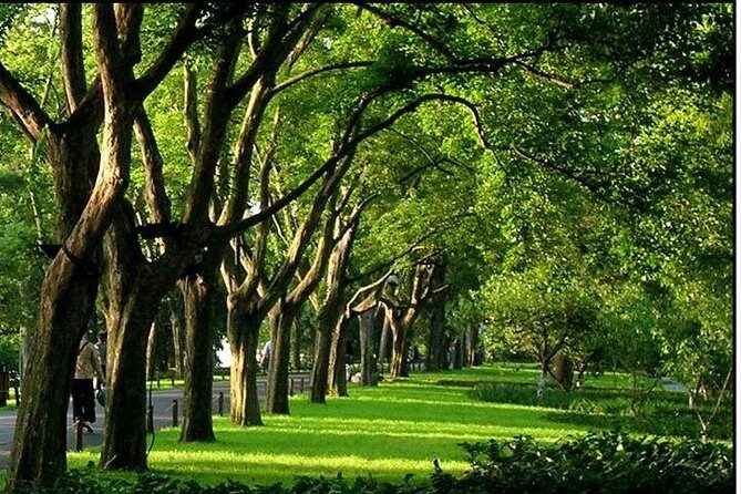 Hangzhou West Lake Walking Day Tour - Weighing the Value