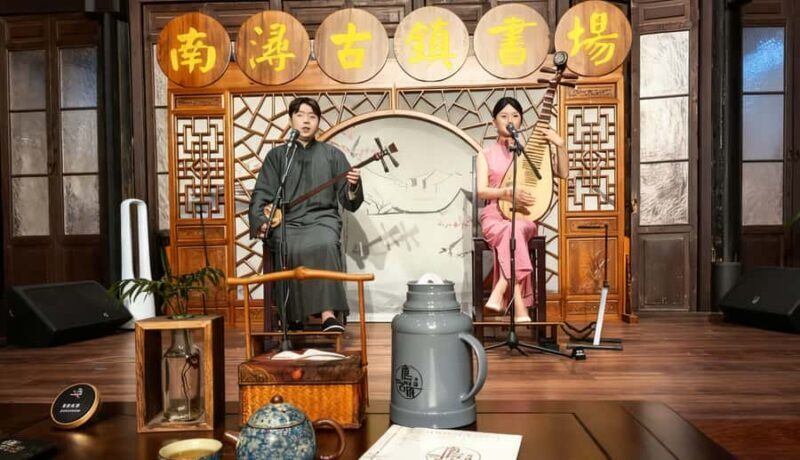 Hangzhou: Wuzhen & Nanxun Town Tour with Tea & Pingtan - Who This Tour Is Perfect For