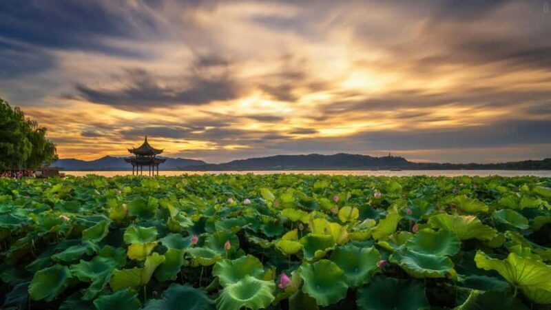 Hangzhou:Cultural and World Heritage Tour with Private Guide - Key Points