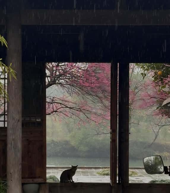 Hangzhous Urban Oasis: Poetic Xixi Wetland Half-Day Tour - An Authentic Blend of Nature and Culture