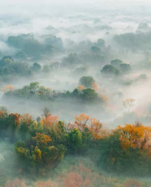 Hangzhous Urban Oasis: Poetic Xixi Wetland Half-Day Tour - The Experience from Reviews