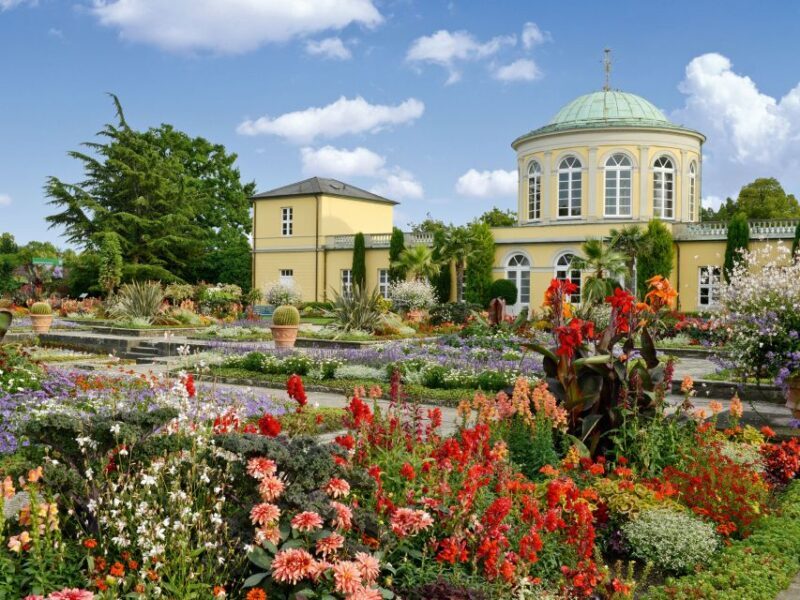 Hannover: Guided tour of the Berggarten - An In-Depth Look at the Berggarten Guided Tour