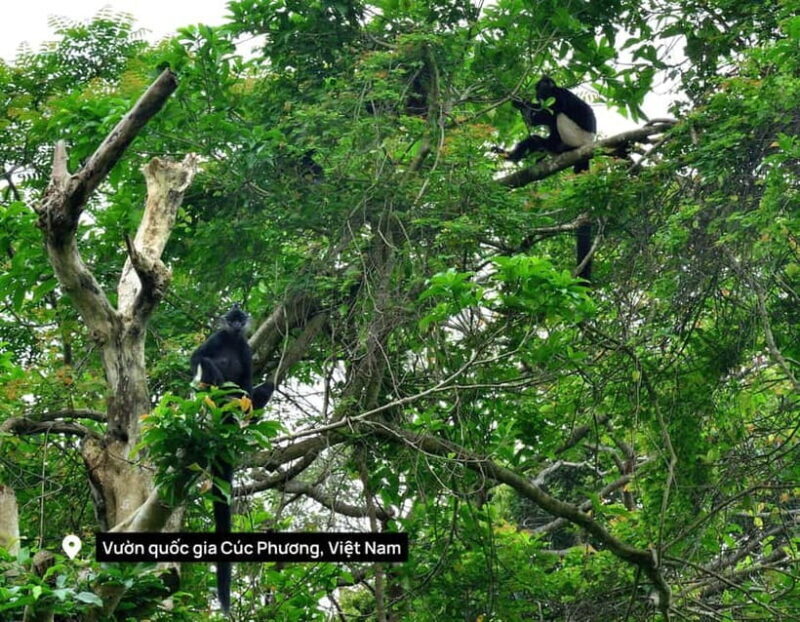 Hanoi: 2-Day Ninh Binh Excursion & Cuc Phuong Park Wildlife - Transport, Accommodation, and Practicalities
