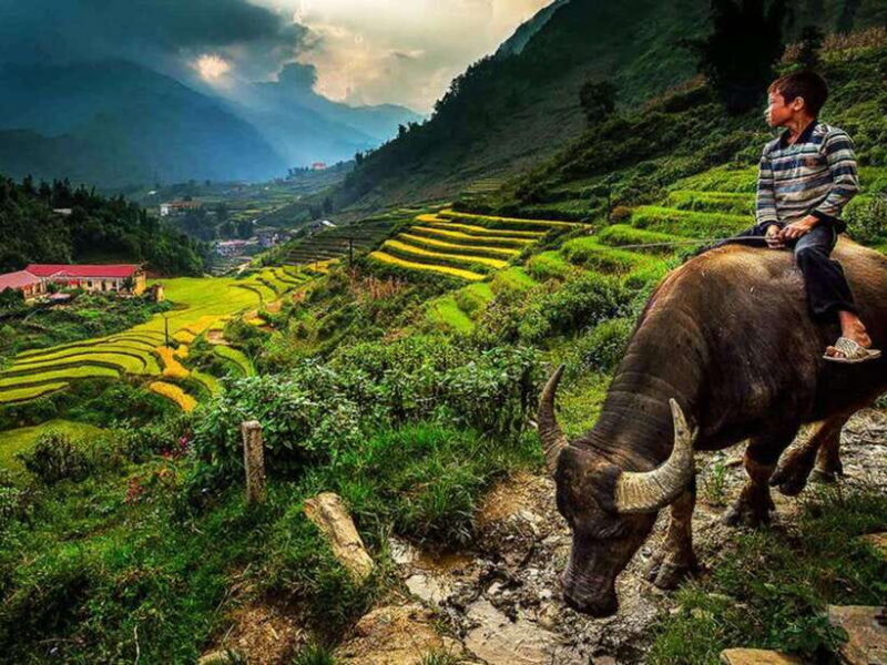 Hanoi: 2-Day Sapa and Fansipan Mountain Tour with Sleep Bus - An Honest Look at the Itinerary and Experience