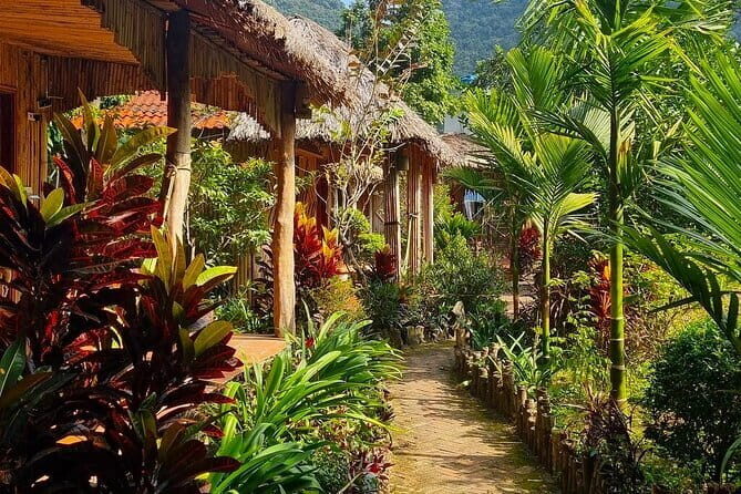 Hanoi: 2 Days 1 Night Adventure Cat Ba National Park, Lan Ha Bay - An Authentic 2-Day Getaway from Hanoi