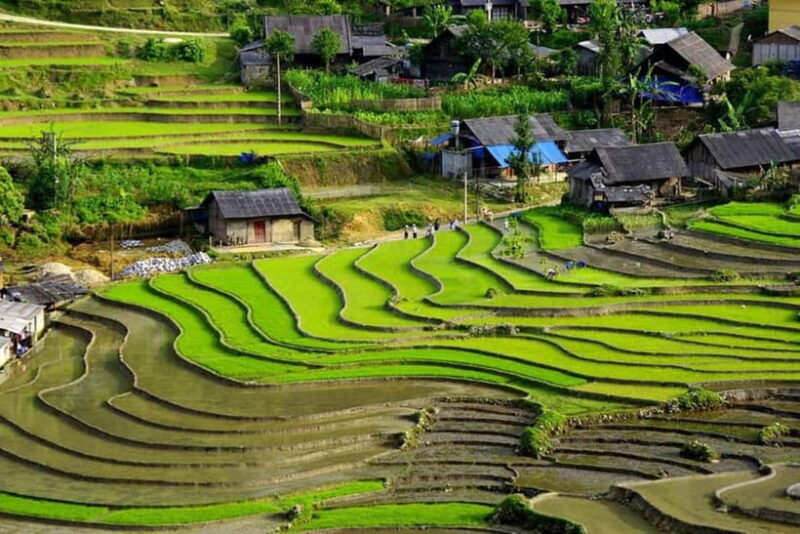 Hanoi: 2 days Sapa Trekking by Overnight Train & Dcar - Analyzing the Value