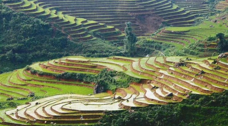 Hanoi: 2 days Sapa Trekking by Overnight Train & Dcar - Who Is This Tour Best For?