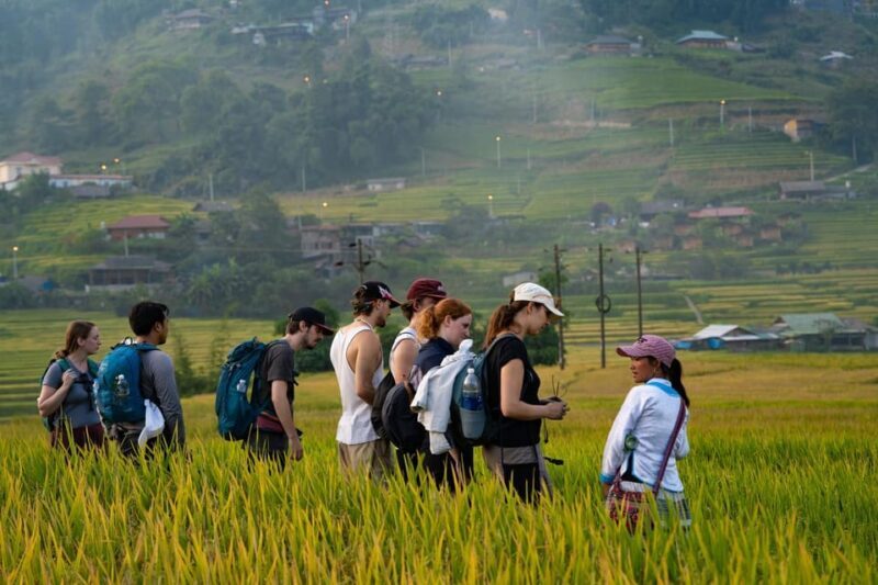 Hanoi: 2 Days Sapa Trekking Trip with Local Guide & Homestay - An In-Depth Look at the Sapa Trekking Tour