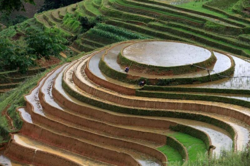 Hanoi: 3-Day Adventure Rice Terraces and Fansipan Summit - An In-Depth Look at Your 3-Day Journey