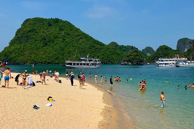 Hanoi: 3-Day Discover Ninh Binh & Halong Bay Luxury Cruise - Who Is This Tour Best Suited For?