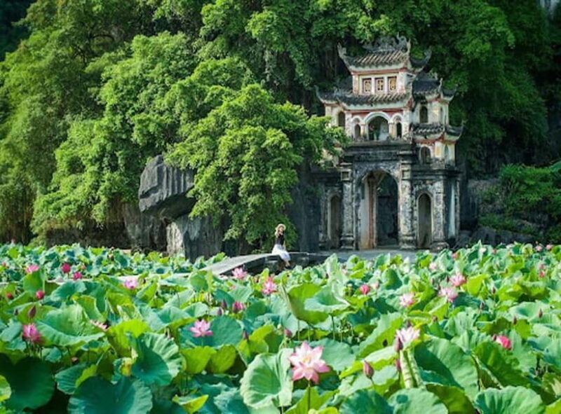 Hanoi: 3-Day Lan Ha Bay, Ninh Binh Excursion, Small Group - Day 1: From Hanoi to Lan Ha Bay - The Coastal Adventure Begins