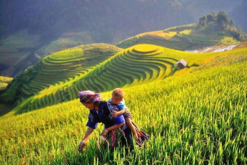 Hanoi: 3-Day Mu Cang Chai Trekking, Hidden Trail, Local Life - Authenticity, Scenic Beauty, and Cultural Immersion
