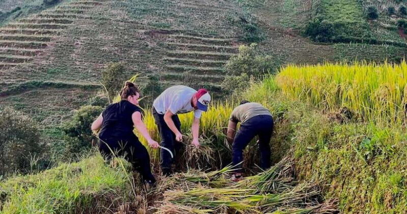 Hanoi: 3-Day Mu Cang Chai Trekking, Hidden Trail, Local Life - Who Will Love This Tour?