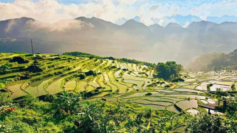 Hanoi: 3-Day Pu Luong, Ninh Binh Excursion & Guide, Homestay - Final Thoughts