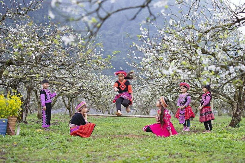 Hanoi: 3-Day Sapa-Fansipan-Cat Cat Village Group Tour by Bus - Who Should Book This Tour?