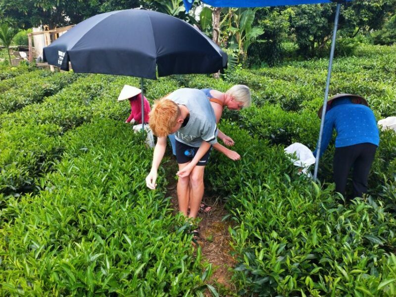 Hanoi: 3-Day Tour to Ban Gioc Waterfall and Ba Be Lake - What Travelers Say: Authenticity and Stunning Views