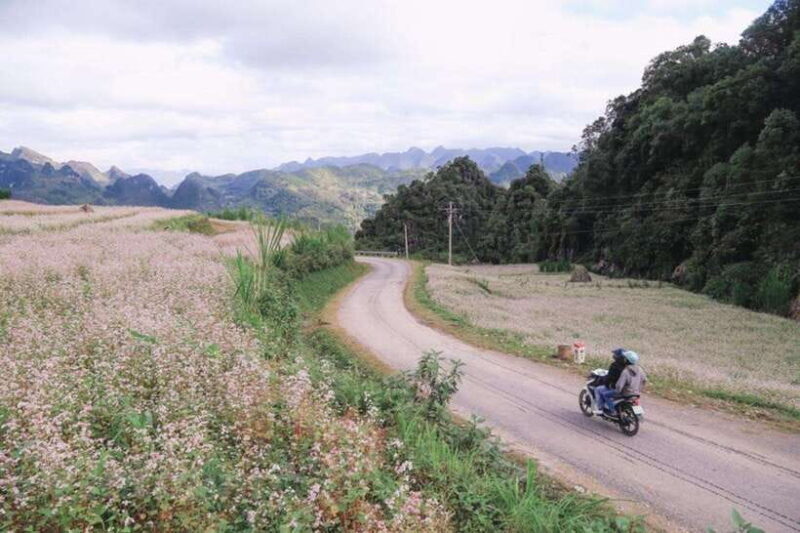Hanoi: 4-Day Ha Giang Loop Motorbike Tour Group or Private - Experience Overview