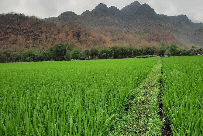 Hanoi Airport car transfer & Vice versa - Who Is This Transfer Best For?