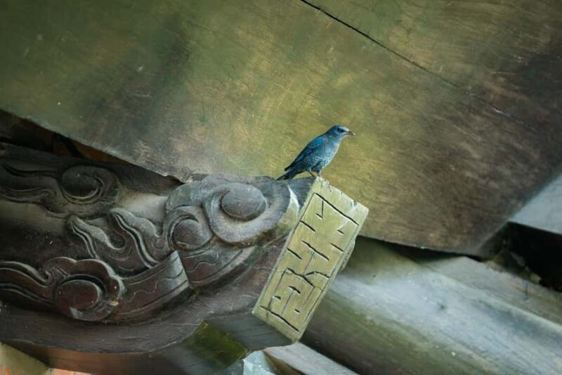 Hanoi: Bai Dinh Pagoda & Toy Village or Hat, Incense Village - Authenticity and Traveler Perspectives