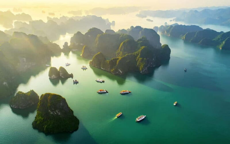 Hanoi: Best 5-Star Ha Long 1 Day Tour with pick up/drop off - Who Would Love This Tour?