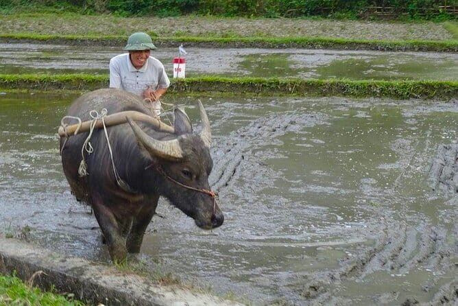 Hanoi: BEST Day Trip to Mai Chau Explore hidden charms, biking - FAQ