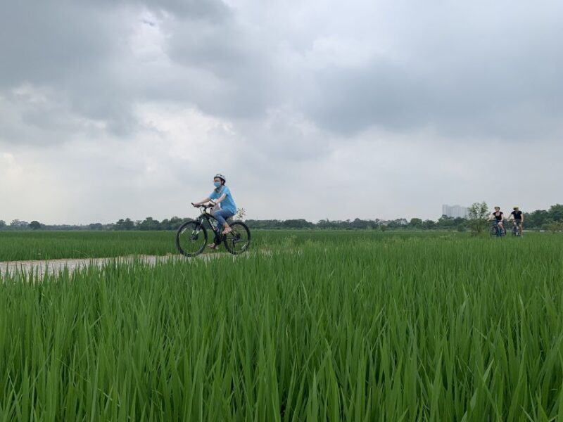 Hanoi: Bike Tour Through Hidden Gems and Banana Island - The Authenticity and Value