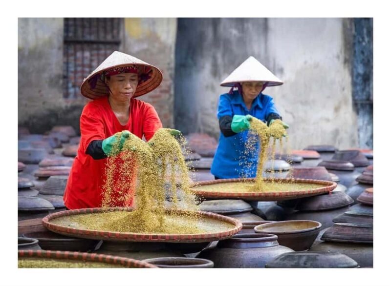 Hanoi: Bird Park & Soy Sauce Village or Hat, Incense Village - Who Will Love This Tour?