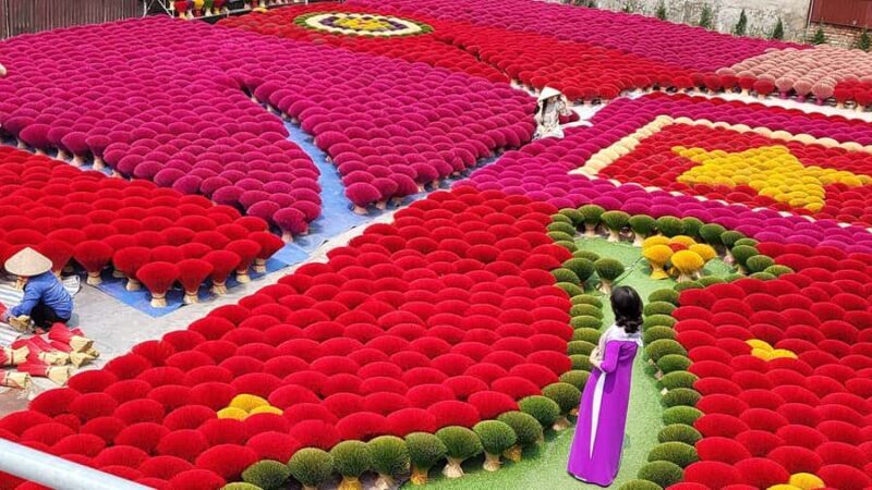 Hanoi: Bird Park & Weaving Village or Hat & Incense Village - A Closer Look at Thung Nham Bird Park and Surroundings