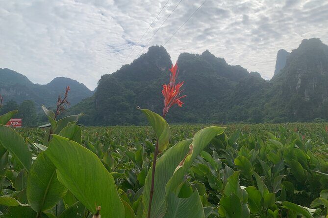 Hanoi - Cao Bang city - Ban Gioc Warterfall 2days/2nights ED7 - FAQ