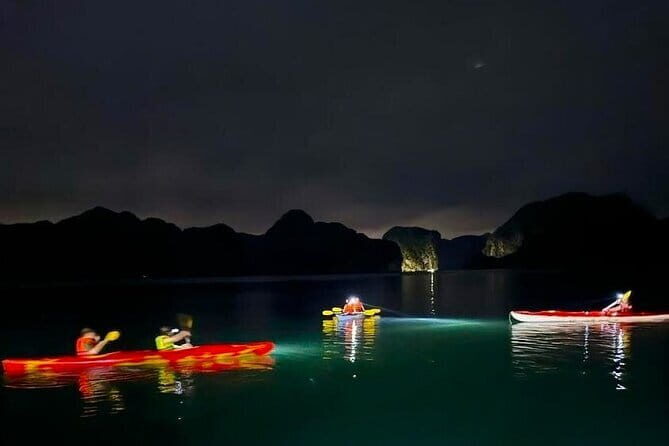 Hanoi-Cat Ba Isand 2-Day Trip with Trekking, Night Kayak,Transfer - Who Should Consider This Tour?