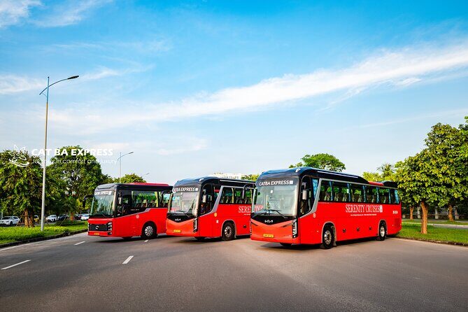 Hanoi: Cat Ba Island Transfer with Shuttle Bus or Limousines - Price and Value: More Than Just Cheap