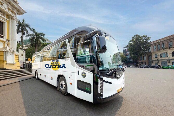Hanoi: Cat Ba Island Transfer with Shuttle Bus or Limousines - Who Is This Transfer Perfect For?