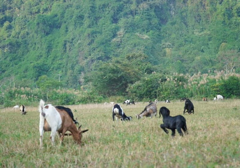 Hanoi/Catba: 2-Day Adventure Cat Ba National Park,Lan Ha Bay - Practical Considerations and Tips
