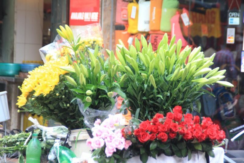 Hanoi city Day tour with lunch, tour guide, tranfers, ticket - Final Verdict